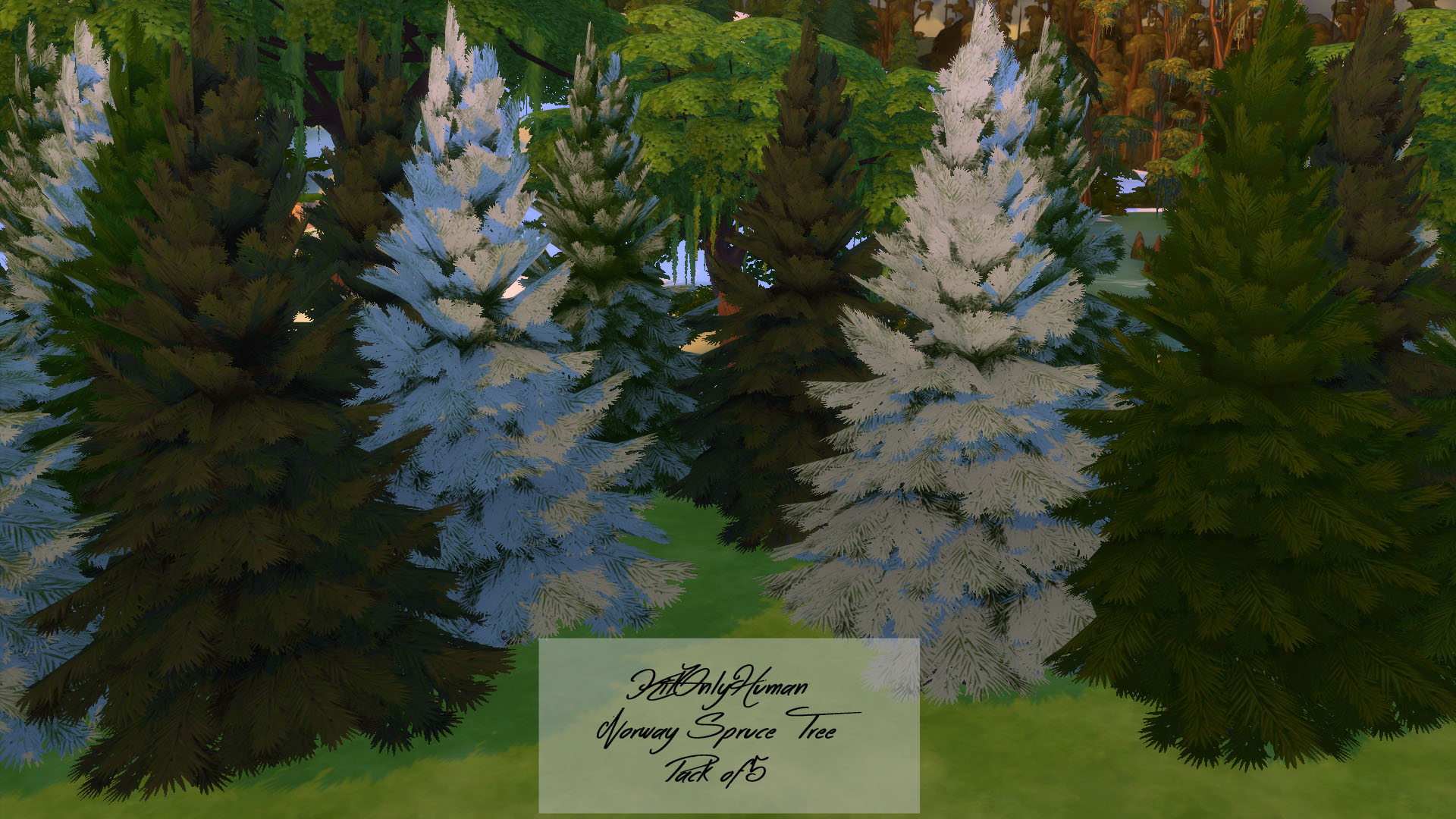 Mod The Sims - Winter Norway Spruce Trees
